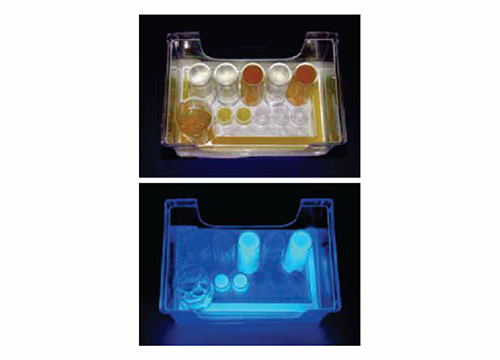 Swan Biotec Food Sciences Rapid Simultaneous Total Coliform And E Coli Systems Detection In Water